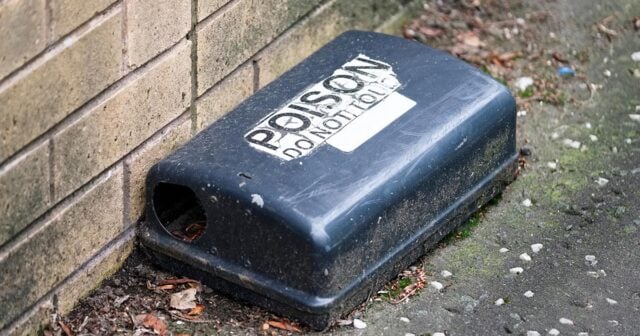 Omega Wildlife Removal And Rodent Control Services