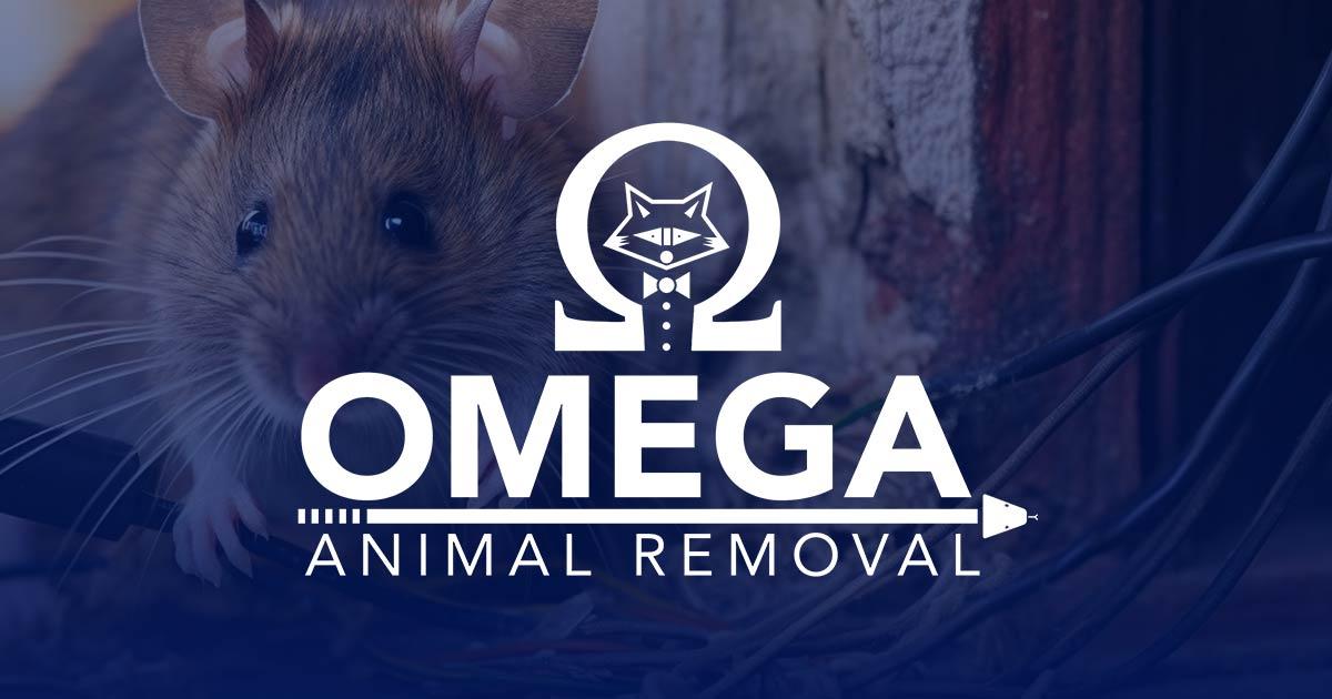 The Woodlands Rodent Control